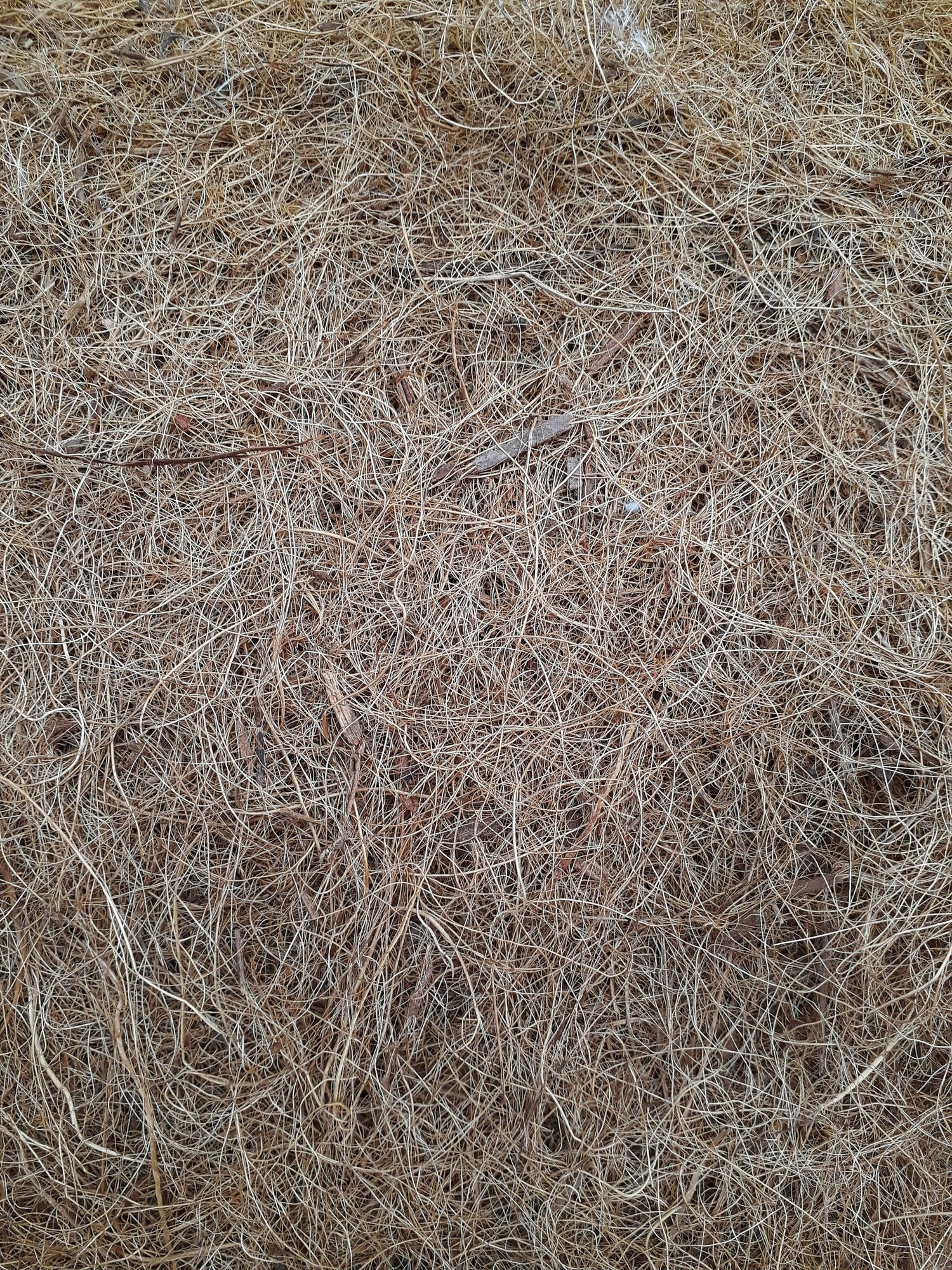 The companies that make the Group!